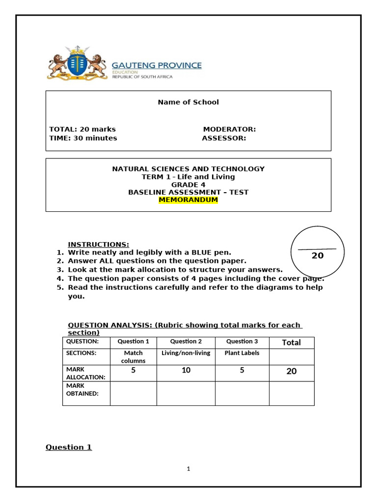 MEMO - JN Baseline Assessment - Grade 4 NST 2025 | PDF