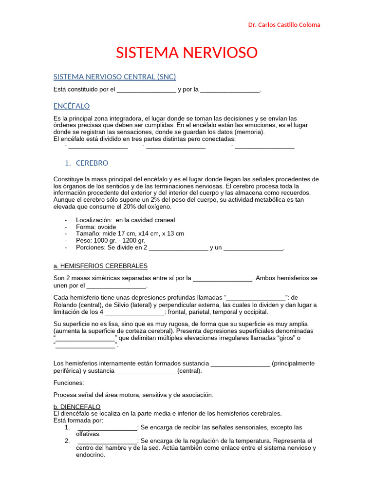 Tarea Virtual de Snc y Snp | PDF | Sistema nervioso central | Cerebro