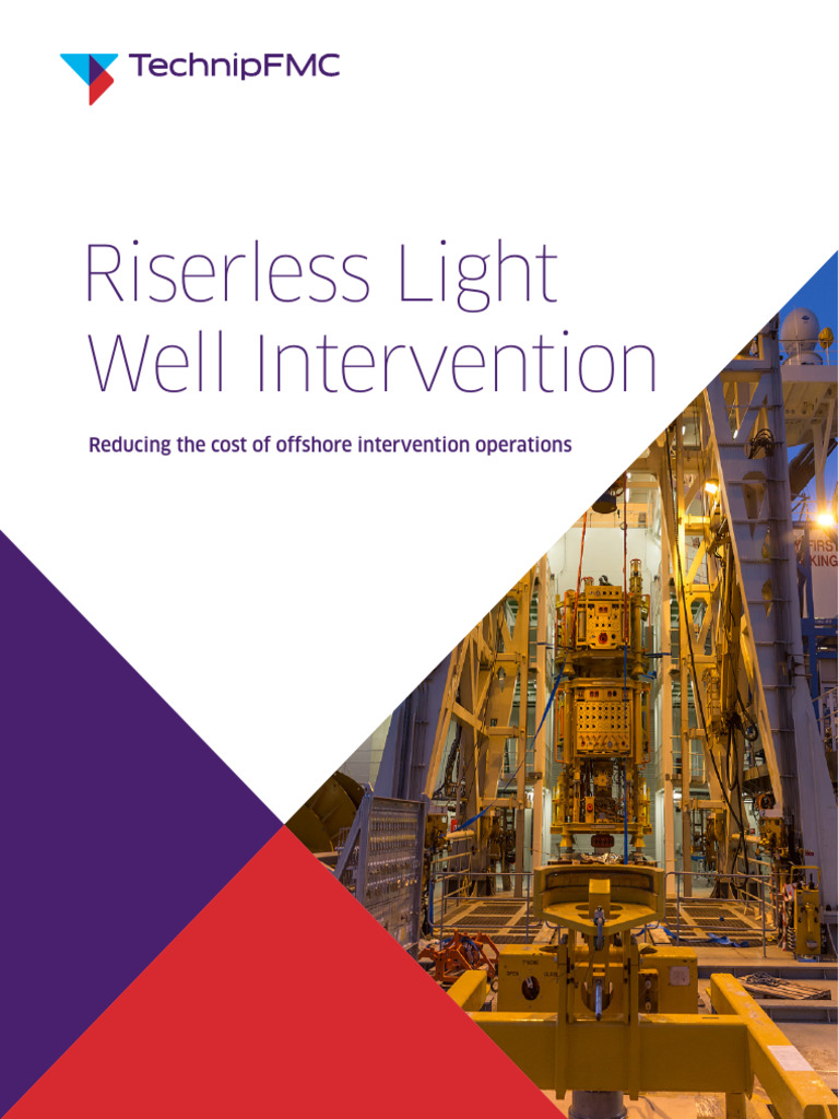 Riserless Light Well Intervention System | PDF