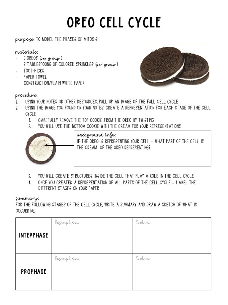 Oreo Cell Cycle Lab 2022 | PDF