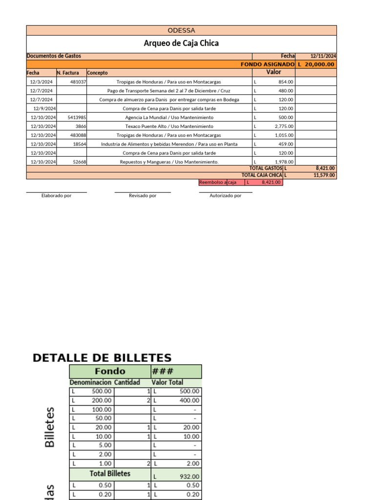 Arqueo de Caja Chica Odessa 2024 | PDF