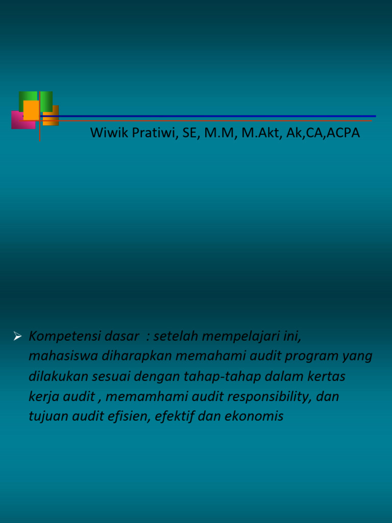 Modul Audit Internal Efisien & Efektif | PDF