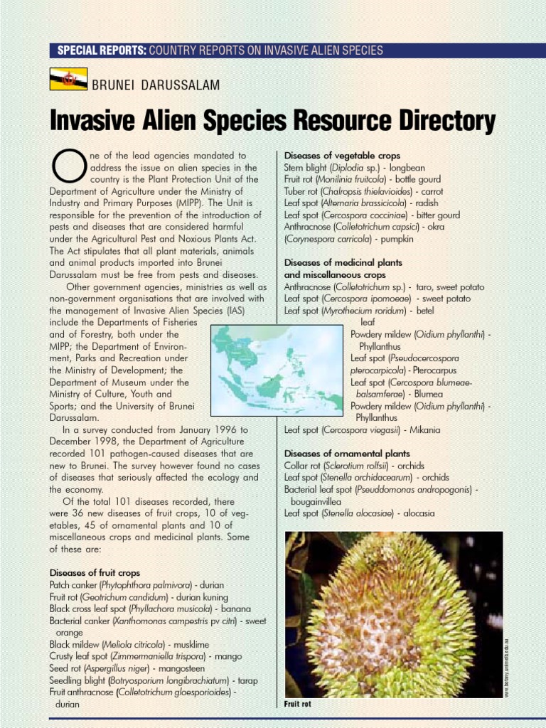 Invasive Fungal Species | PDF | Introduced Species | Invasive Species