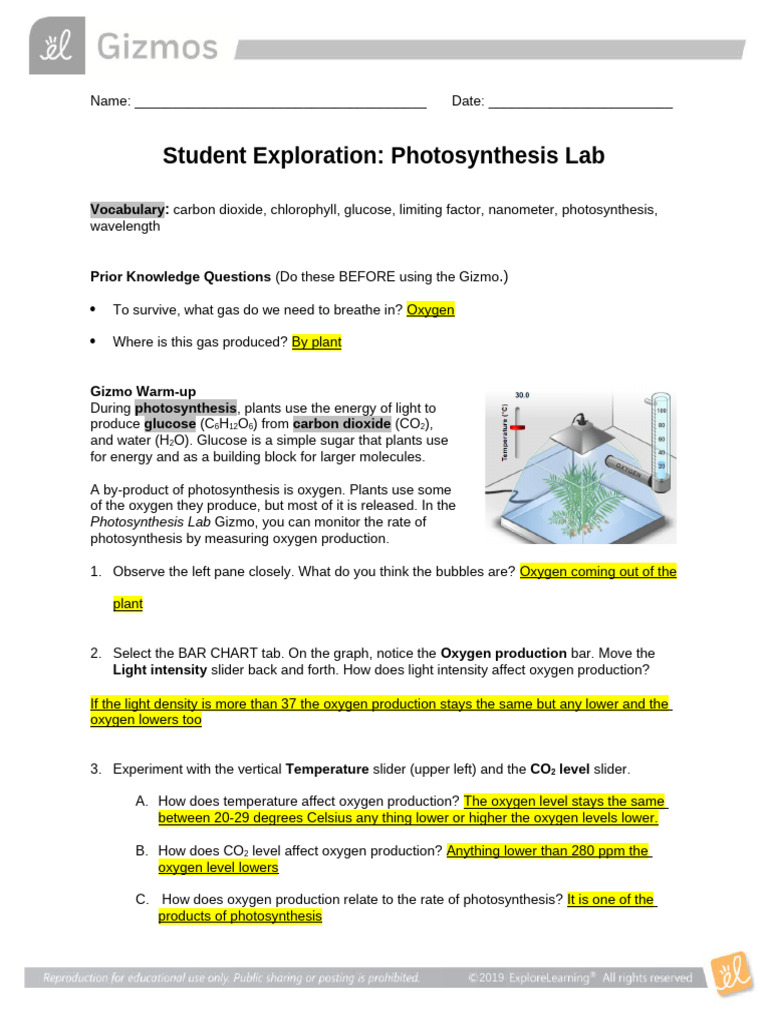 Photosynthesis Lab SE | PDF | Photosynthesis | Carbon Dioxide