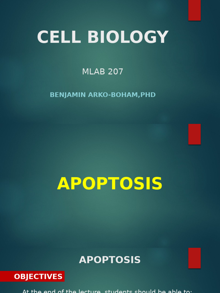Understanding Apoptosis in Cell Biology | PDF
