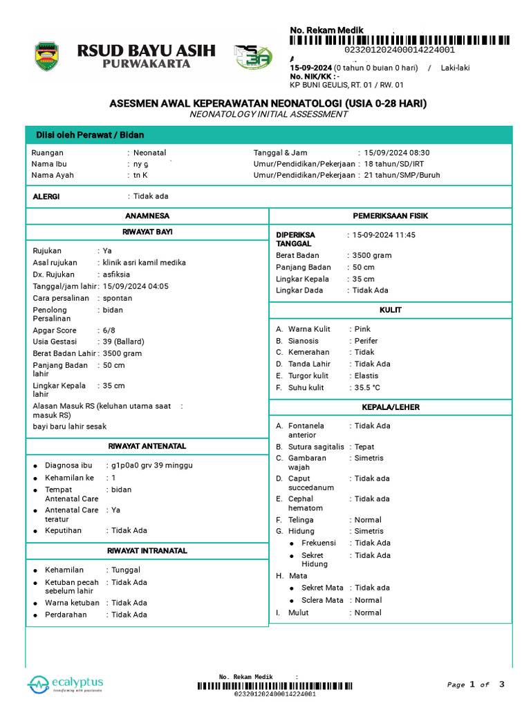Assesment Neni 2 | PDF