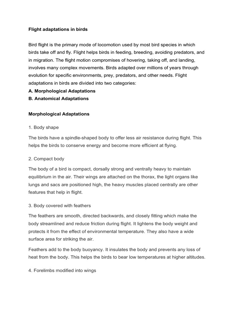 Bird Flight Adaptations Explained | PDF | Birds | Zoology