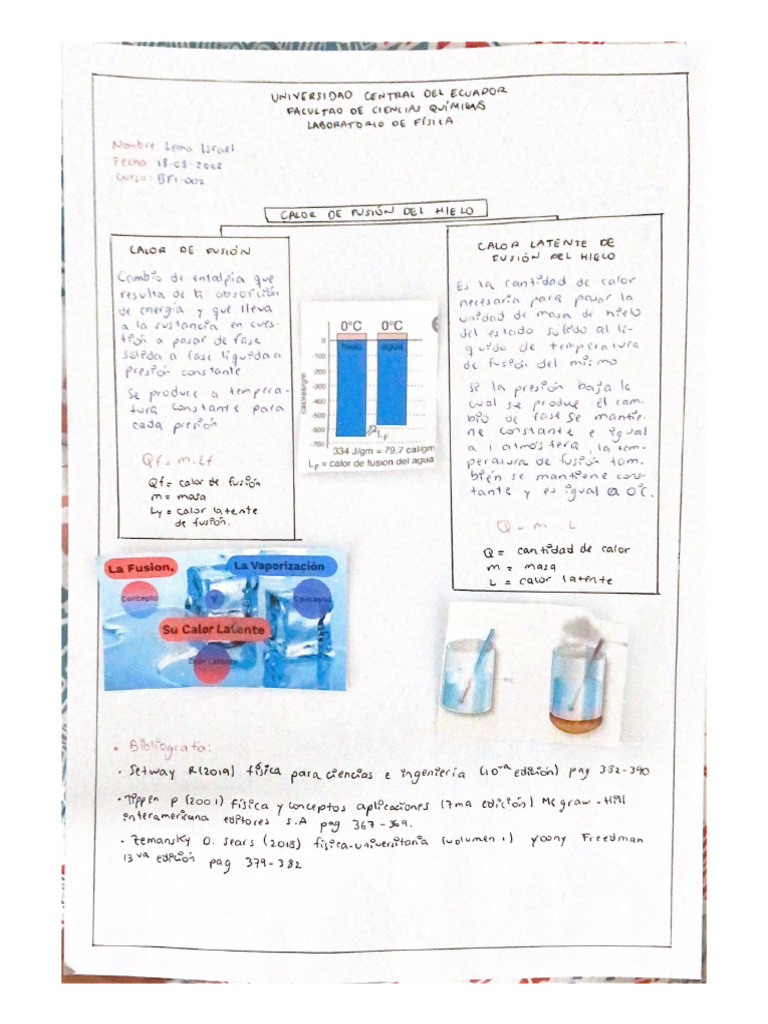 Fundamento Conceptual 14-Israel Lema - BF1-002 | PDF