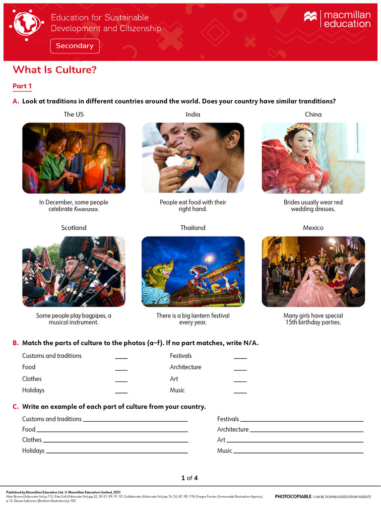 What Is Culture - Worksheet | PDF