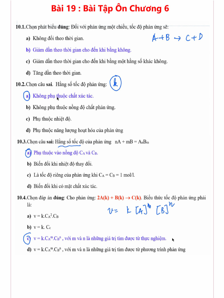 Bài 19 - Bài Tập Ôn C6 | PDF
