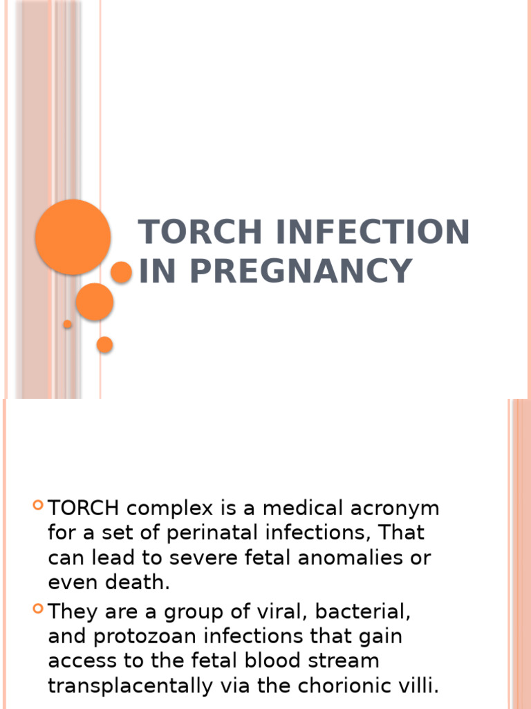 Torch Infection in Pregnancy | PDF | Infection | Fetus