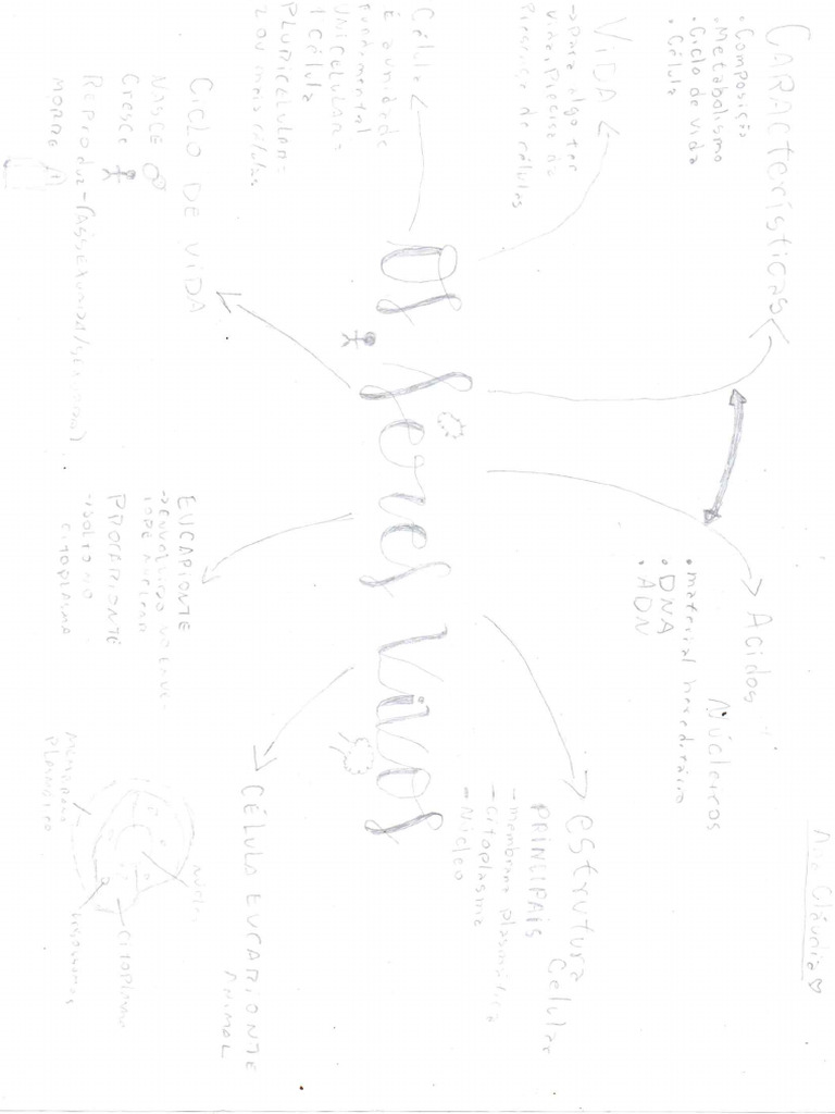 MAPA CONCEITUAL | PDF