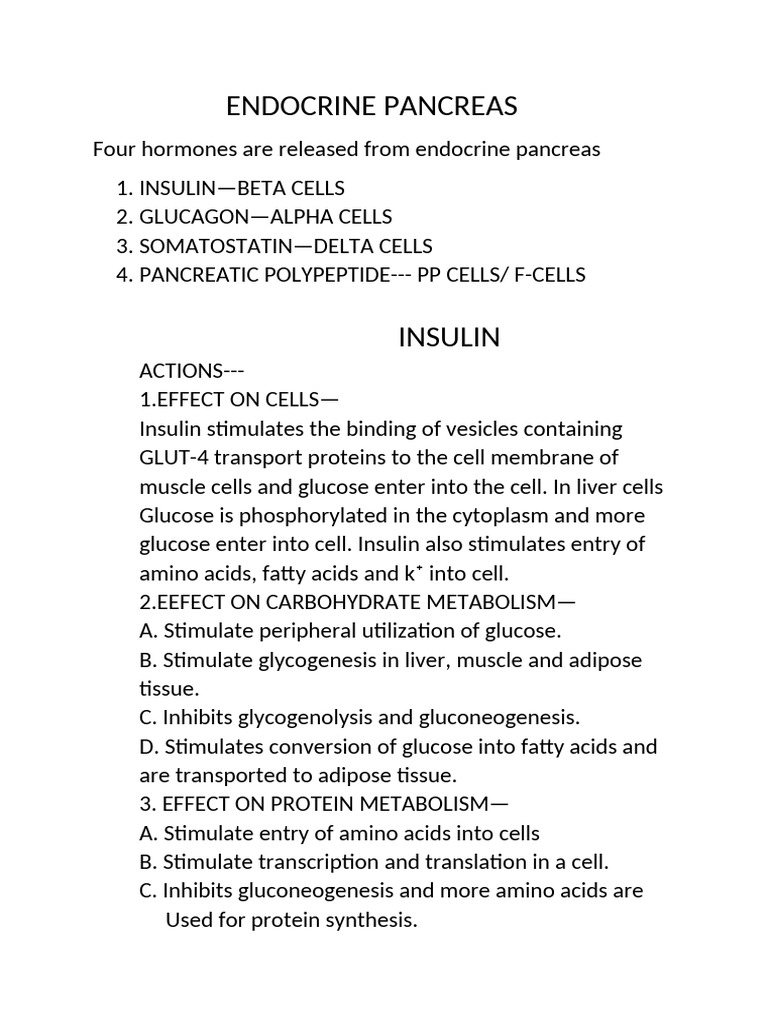 Endocrine System2 (1) | PDF | Insulin | Pancreas
