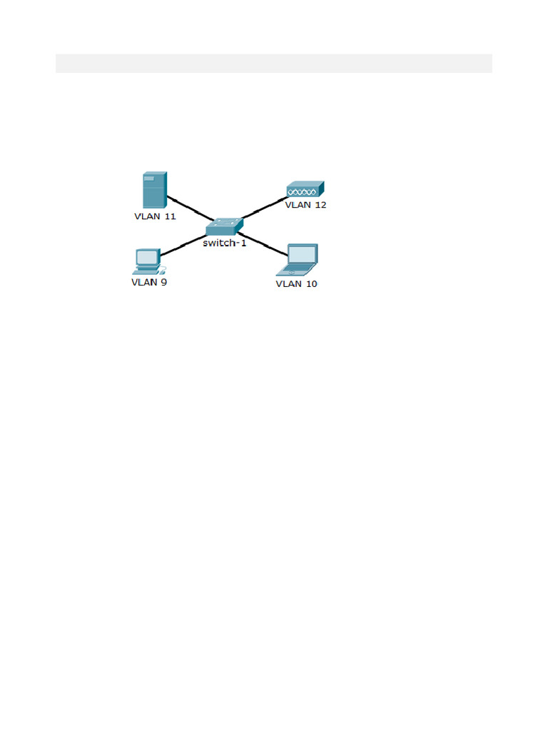 Access Ports | PDF | Network Architecture | Computer Architecture
