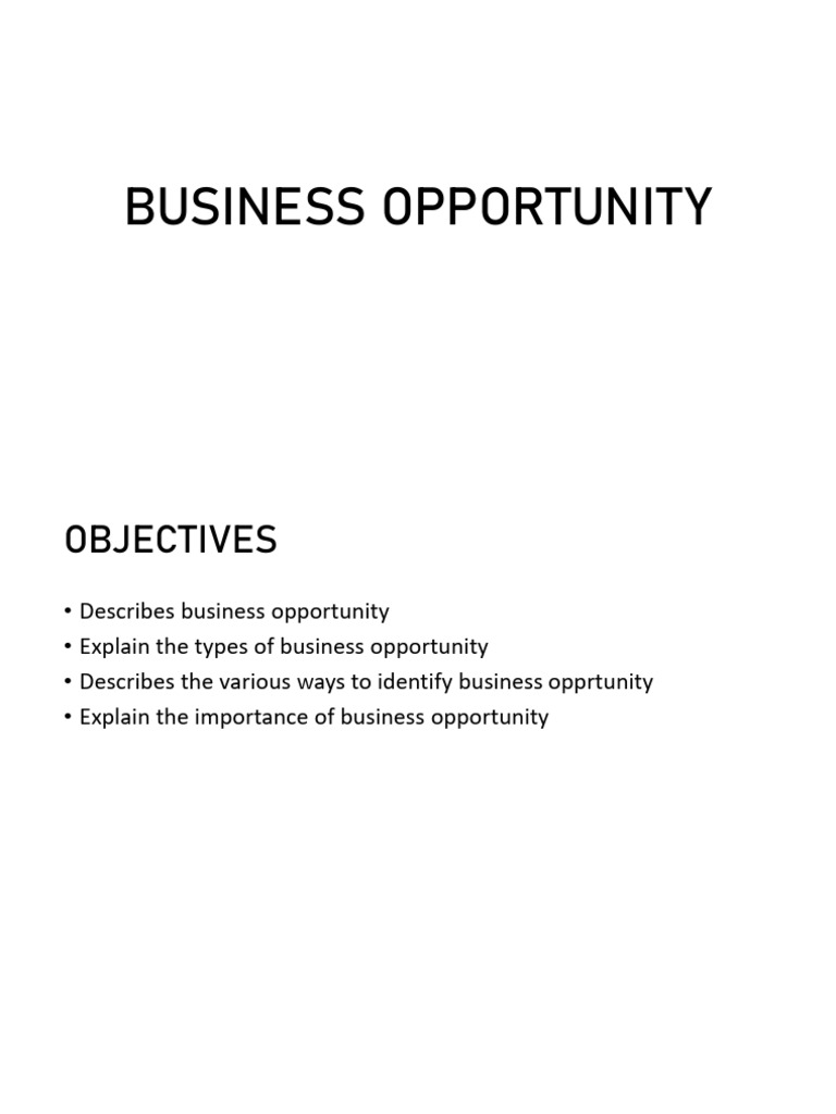4.business Opportunity | PDF