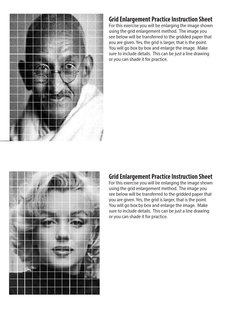 Grid Enlargement Exercise Guide | PDF