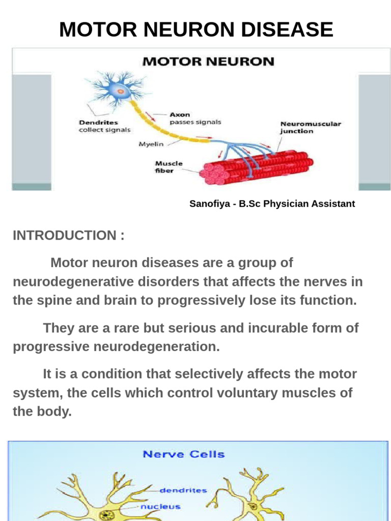 Motor Neuron Disease (MND) | PDF | Medical Specialties | Medicine