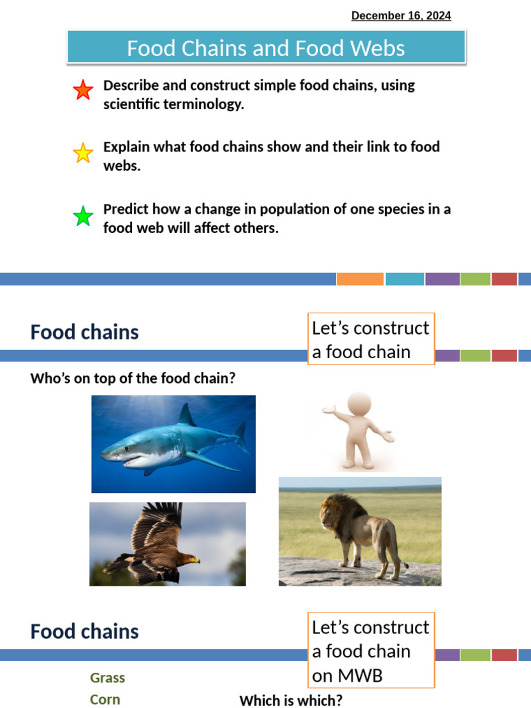 Food Chains and Web SC | PDF | Food Web | Foods