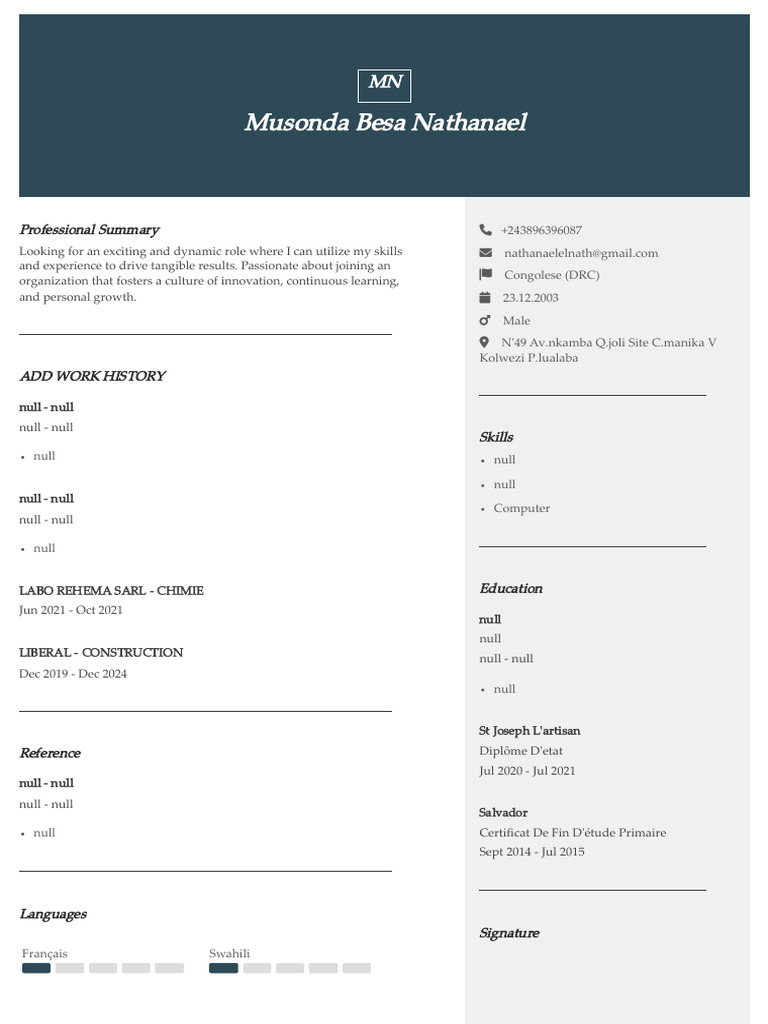 Musonda Besa - Resume - 467 | PDF