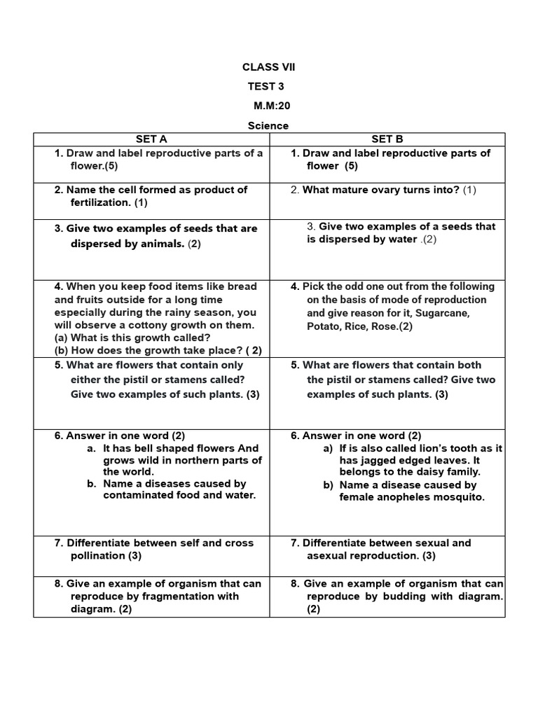 Class 7 Test 3 | PDF