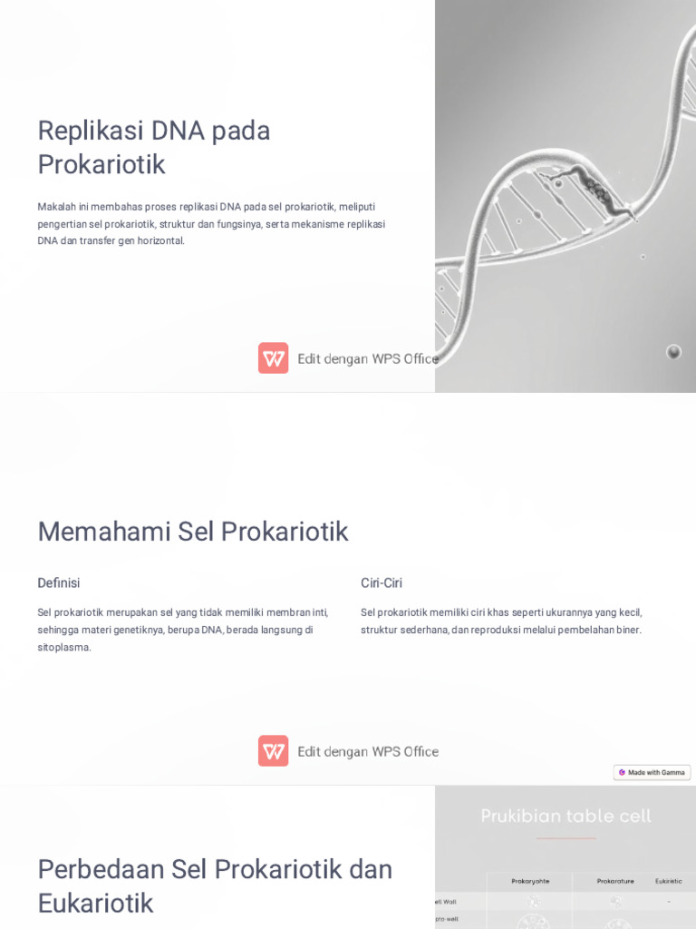 Proses Replikasi DNA Prokariotik | PDF