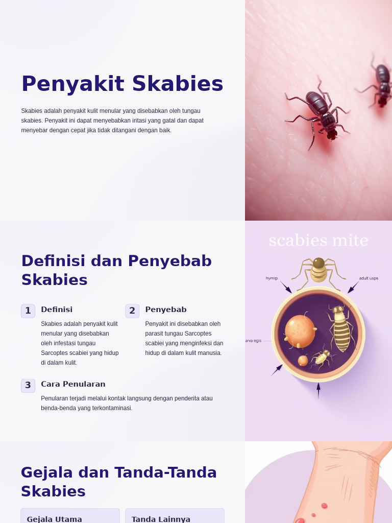 Penyakit-Skabies | PDF