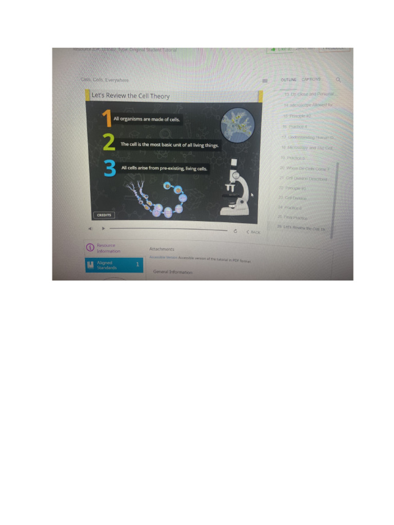 Brandon Schutzer, Cells Cells Everywhere, Period 3 | PDF