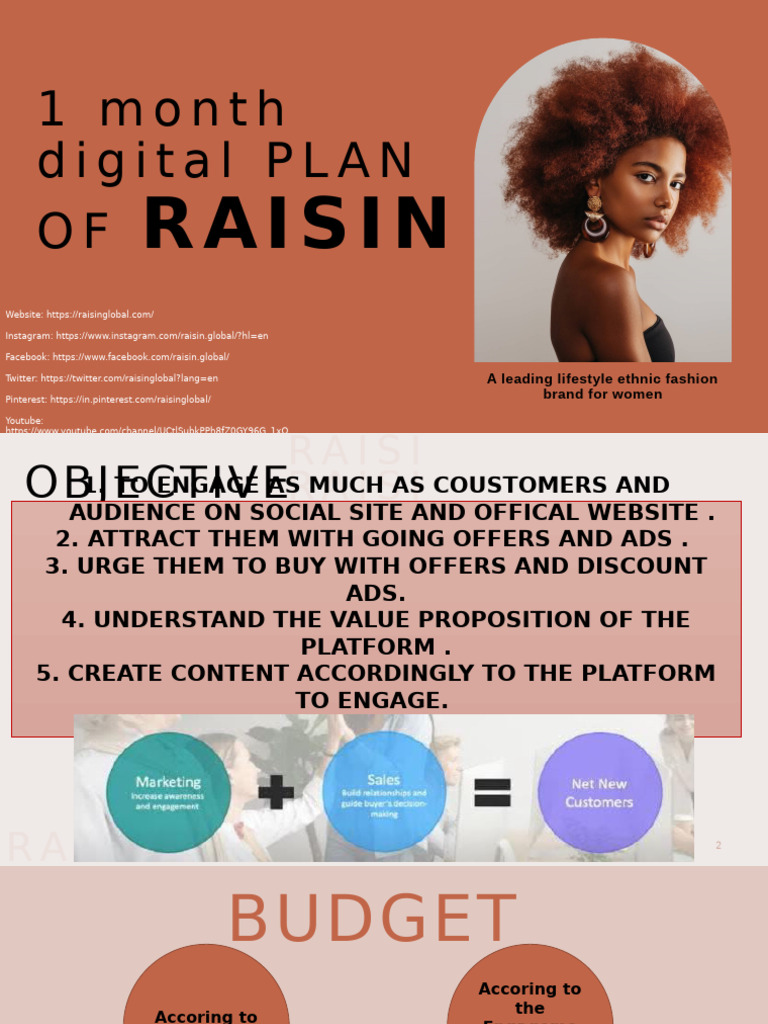 1 Month Digital Plan For RAISIN | PDF | Mass Media | Human Communication