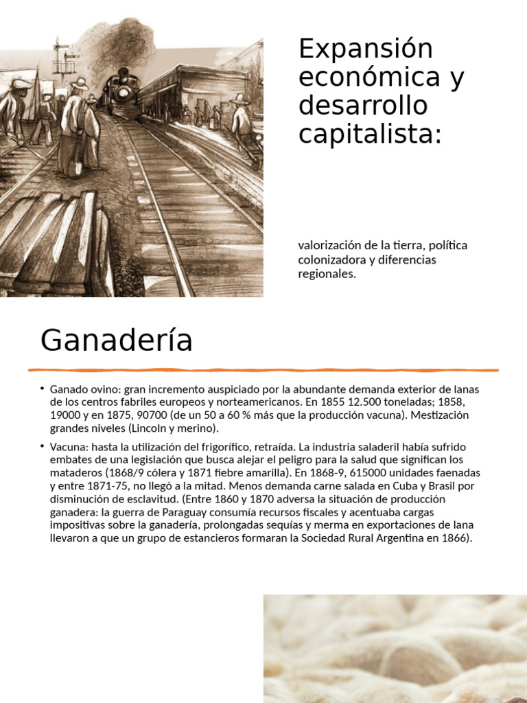 Expansión Económica y Desarrollo Capitalista 2023 | PDF | Oveja | Comercio