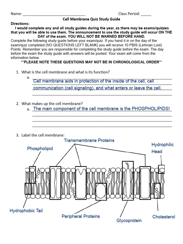 Answer Key: Study Guide Cell Membrane Quiz | PDF | Cell Membrane ...