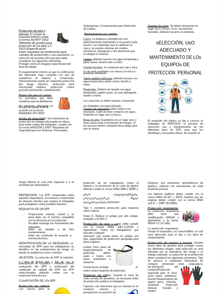 PDF Triptico Epp | PDF