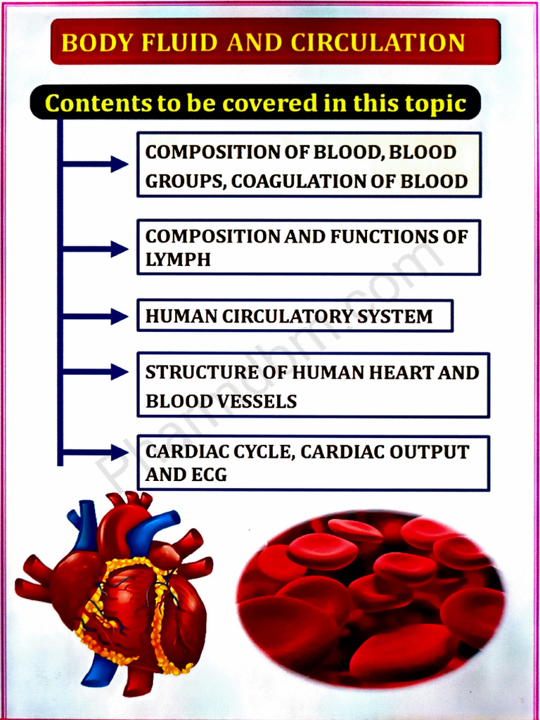 Remedial Biology Unit 2 | PDF