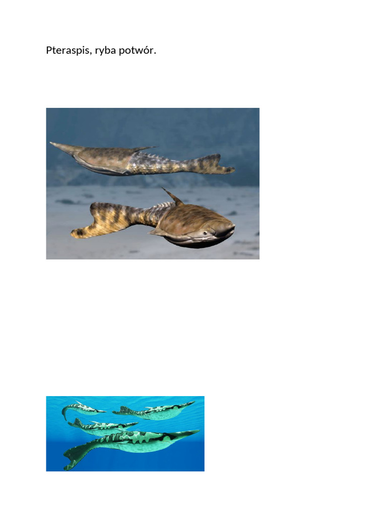 Pteraspis | PDF