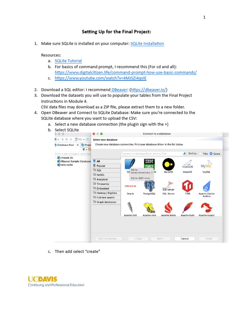 Final Project Instructions with Step-by-Step Images | PDF | Comma Separated Values | Databases