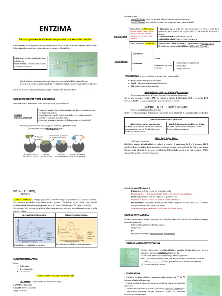 Encima S | PDF