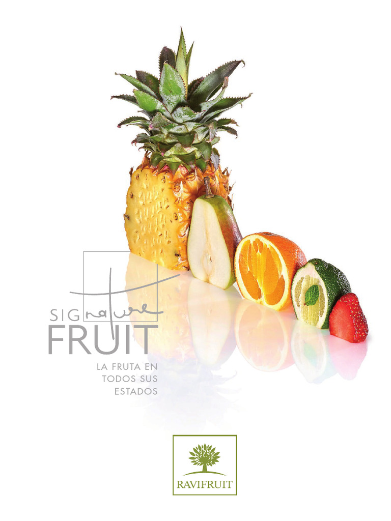RAVIFRUIT Signature Fruit SPANISH | PDF | Glucosa | Helado