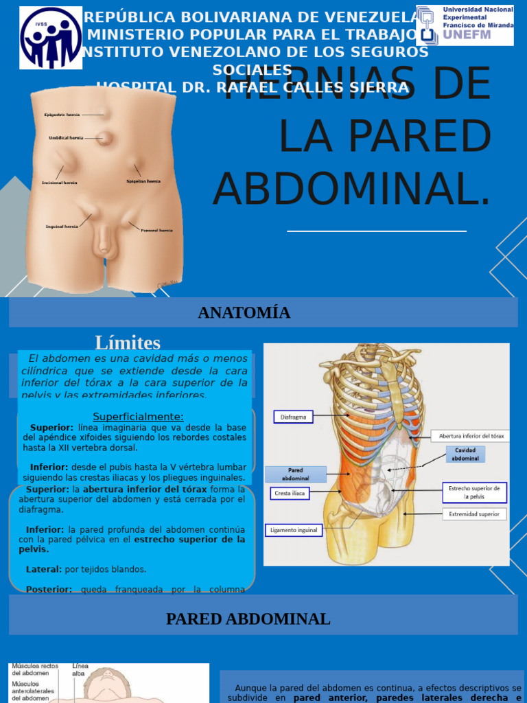 hernias pared-abdominal | PDF | Abdomen | Pelvis
