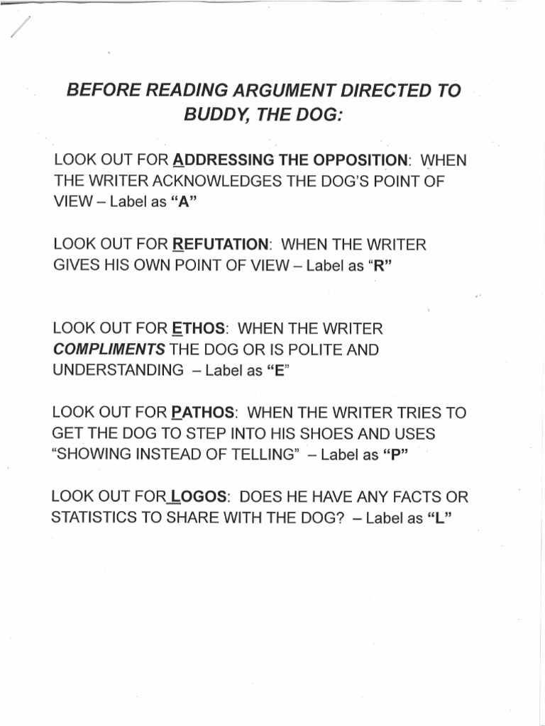Argument Sample (Buddy The Dog) | PDF