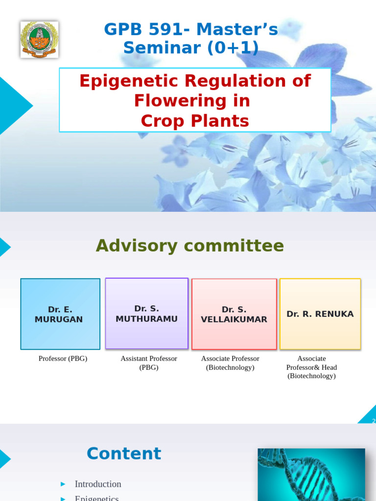 Epigenetic Regulation | PDF | Regulation Of Gene Expression | Epigenetics