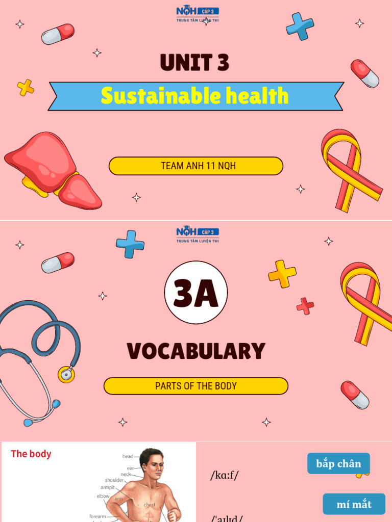 2k8 Unit 3 Lý Thuyết Vocab Friends Global | PDF | Clinical Medicine | Medical Specialties