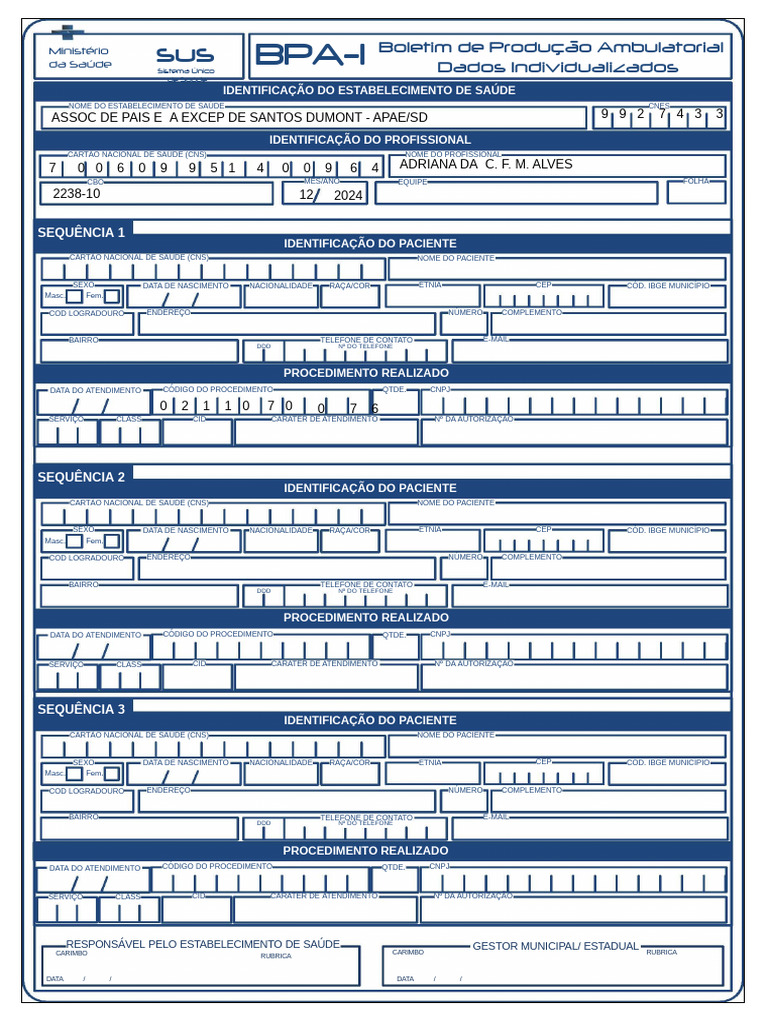Formulario - BPA - I - Completo | PDF | Brasil | Programas sociais