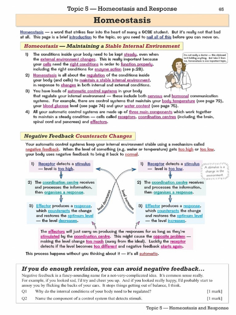 CGP GSCE Biology AQA Revision Guide (PDFDrive) - 71-89 | PDF | Nervous System | Eye