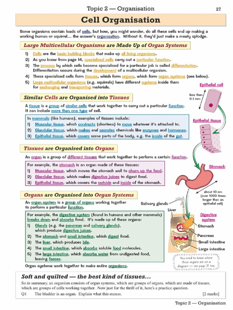 CGP GSCE Biology AQA Revision Guide ( PDFDrive )-33-51 (1) | PDF ...