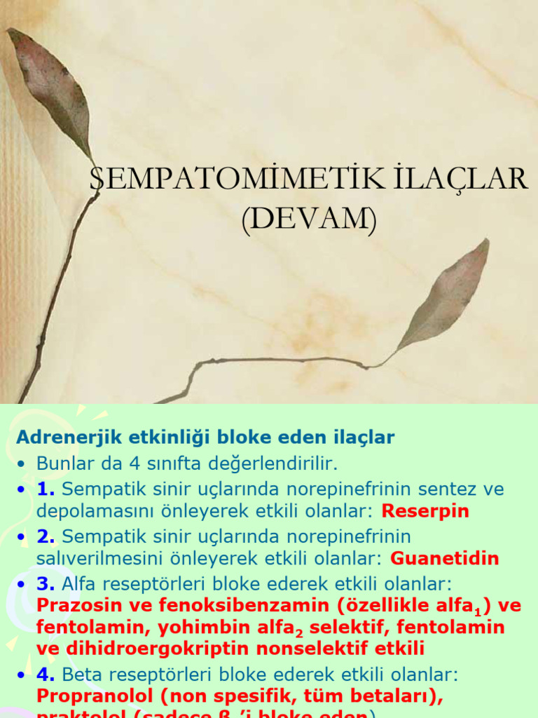 8.hafta OSS 2 Sempatomim Devam | PDF