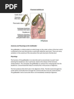 Pathophysiology of Choledocholithiasis | PDF