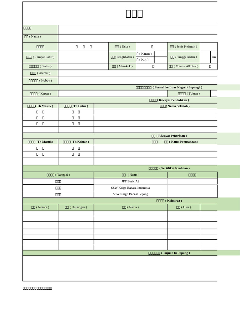 Form CV Kaigo | PDF