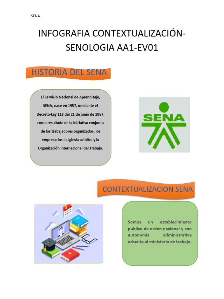 Infografia Contextualización Evidencia Aa1-Ev01 | PDF