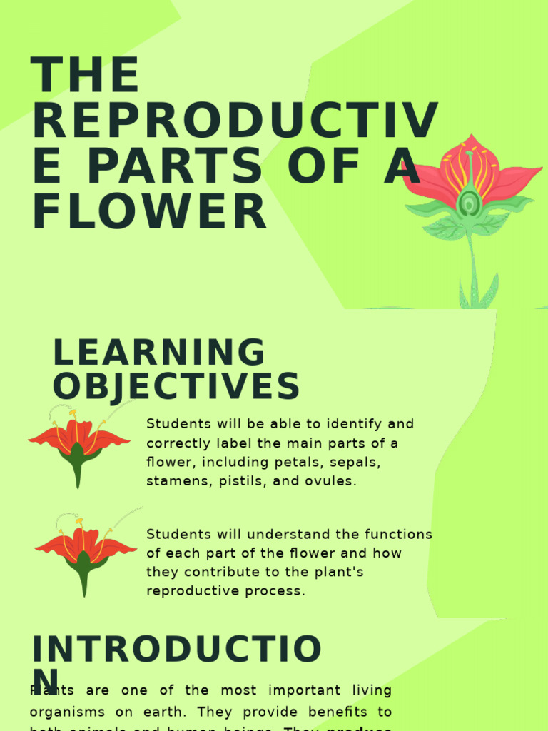 Flower Reproductive Parts Explained | PDF | Petal | Flowers