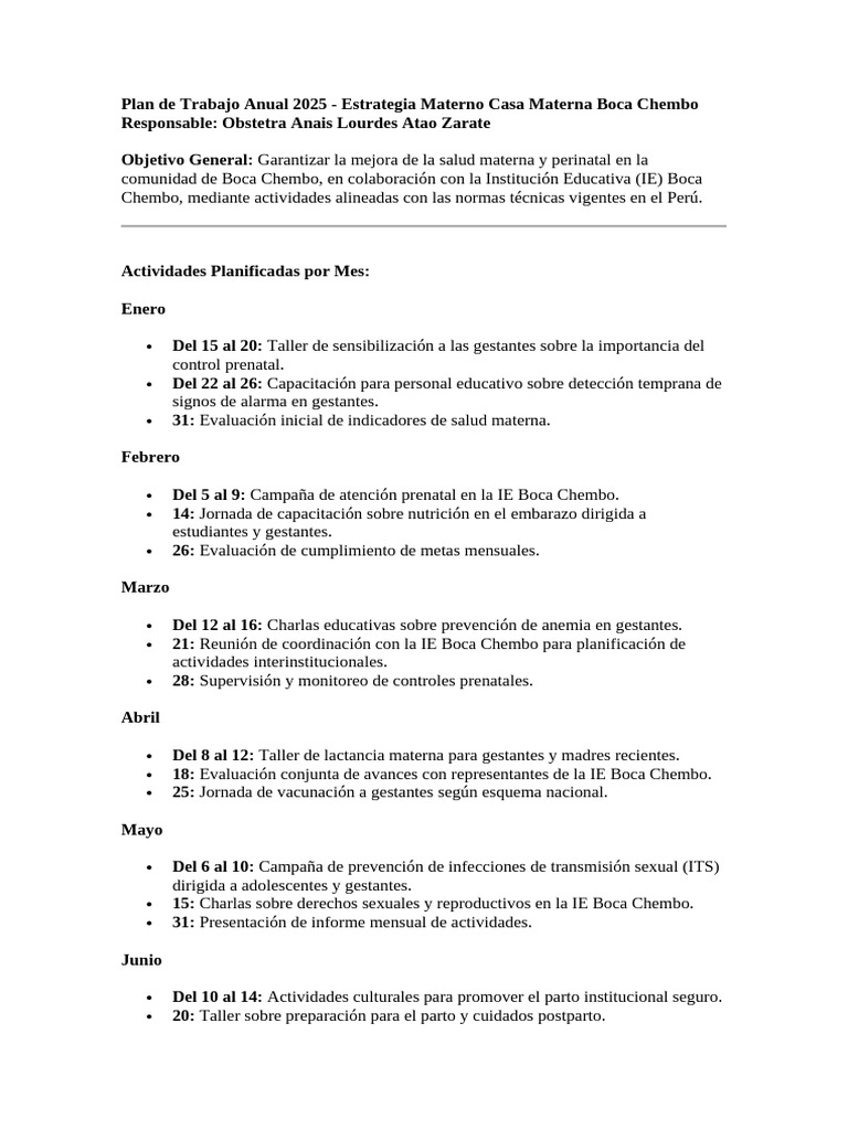 Plan de Trabajo Anual 2025.PS BOCA CHEMBO | PDF | Salud maternal | Partería