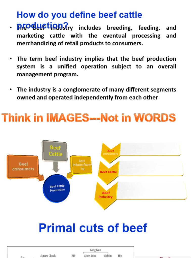 Introduction To Beef Cattle Production | PDF